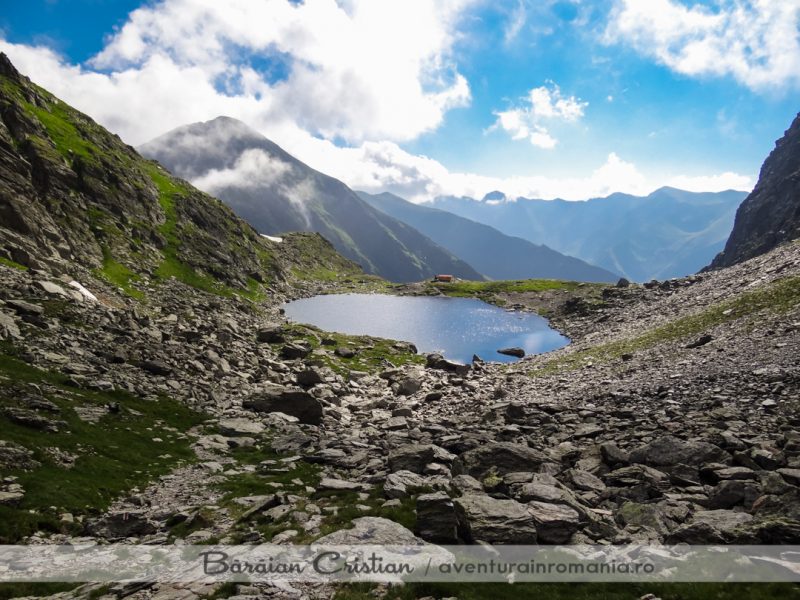 Varful Negoiu, ursul și capra neagra, Munti - Aventura in Romania