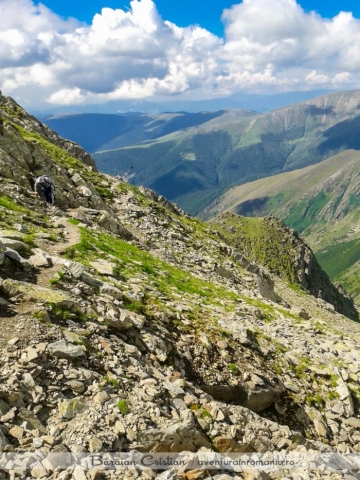 Varful Negoiu, ursul și capra neagra, Munti - Aventura in Romania