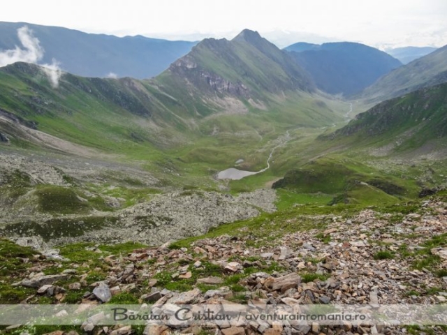 Varful Negoiu, ursul și capra neagra, Munti - Aventura in Romania