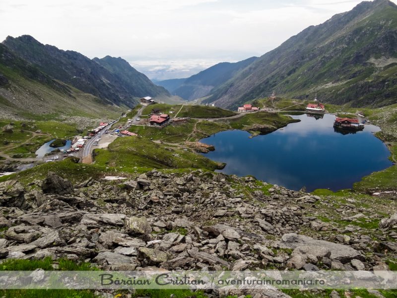 Varful Negoiu, ursul și capra neagra, Munti - Aventura in Romania