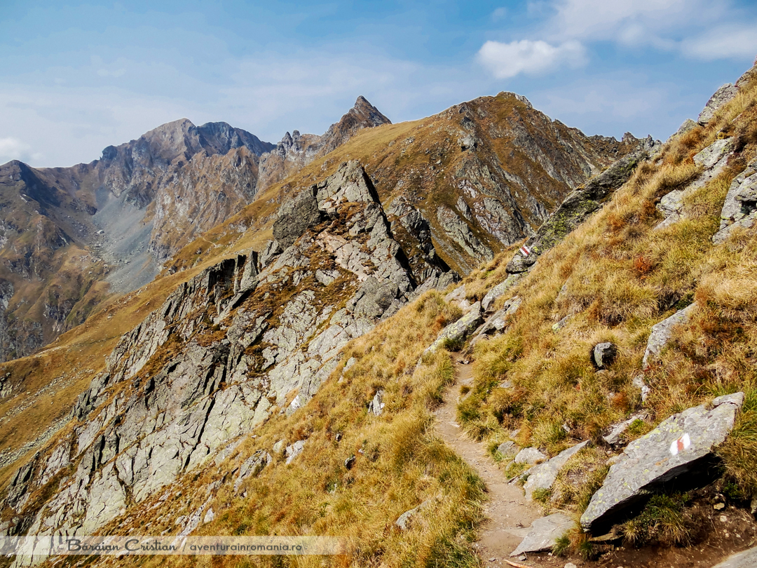 Varful Moldoveanu, Fagaras, Munti - Aventura in Romania