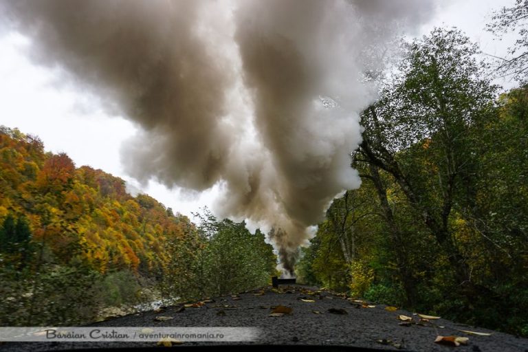 Mocanita de pe Valea Vaserului, Statiuni si orase - Aventura in Romania