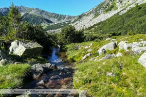 Taul Tapului, un vis devenit realitate, Lacuri - Aventura in Romania