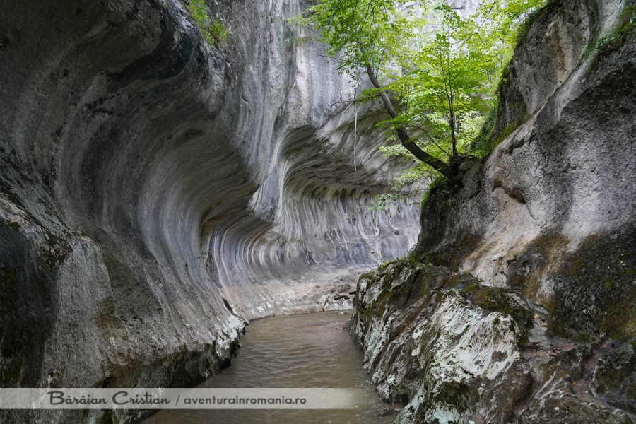 Cheile Băniței, Chei - Aventura in Romania