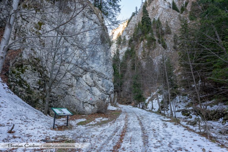 Prăpăstiile Zărneștilor, Munții Piatra Craiului, Chei - Aventură în România
