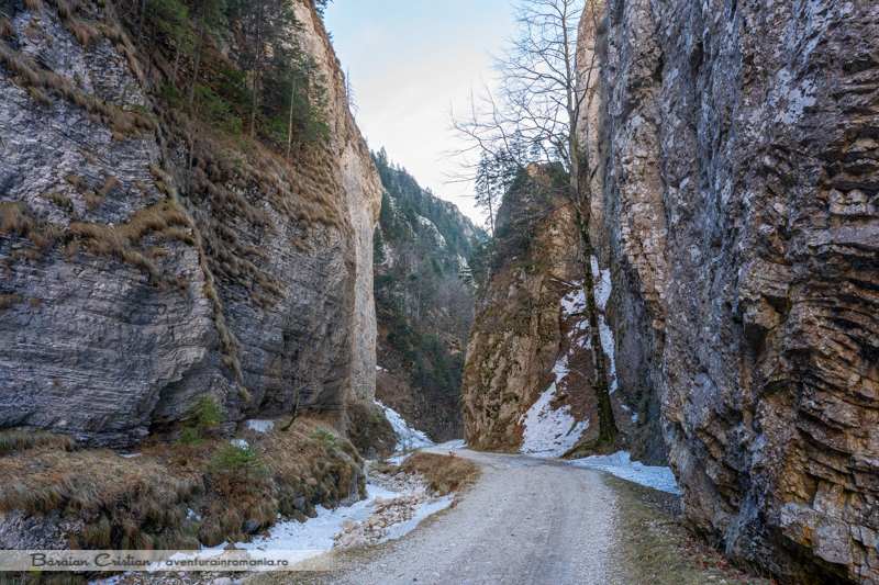Acasa - Aventura in Romania