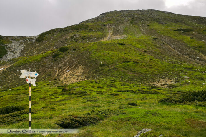 Vârful Ineu și bujorii de munte, Munți - Aventură în România